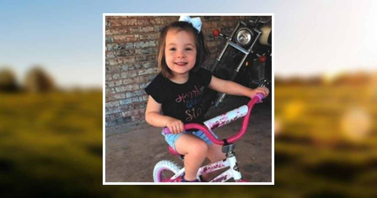 Avery Grace Shirhall Obituary October 11, 2018 - Sneed Carnley Funeral ...