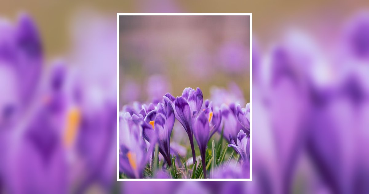 Tracy Renee Ritter Obituary May 22, 2013 - Newcomer Kentuckiana