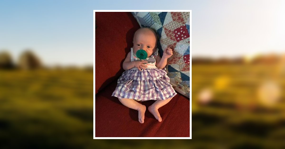 Brighton Harper Freeman Obituary October 8, 2018 - Sullivan's Highland ...