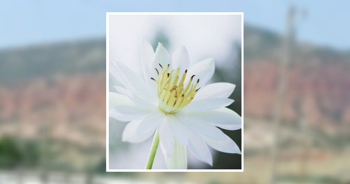 Kathryn S. Proctor Obituary July 14, 2024 - Bustard & Jacoby Funerals ...