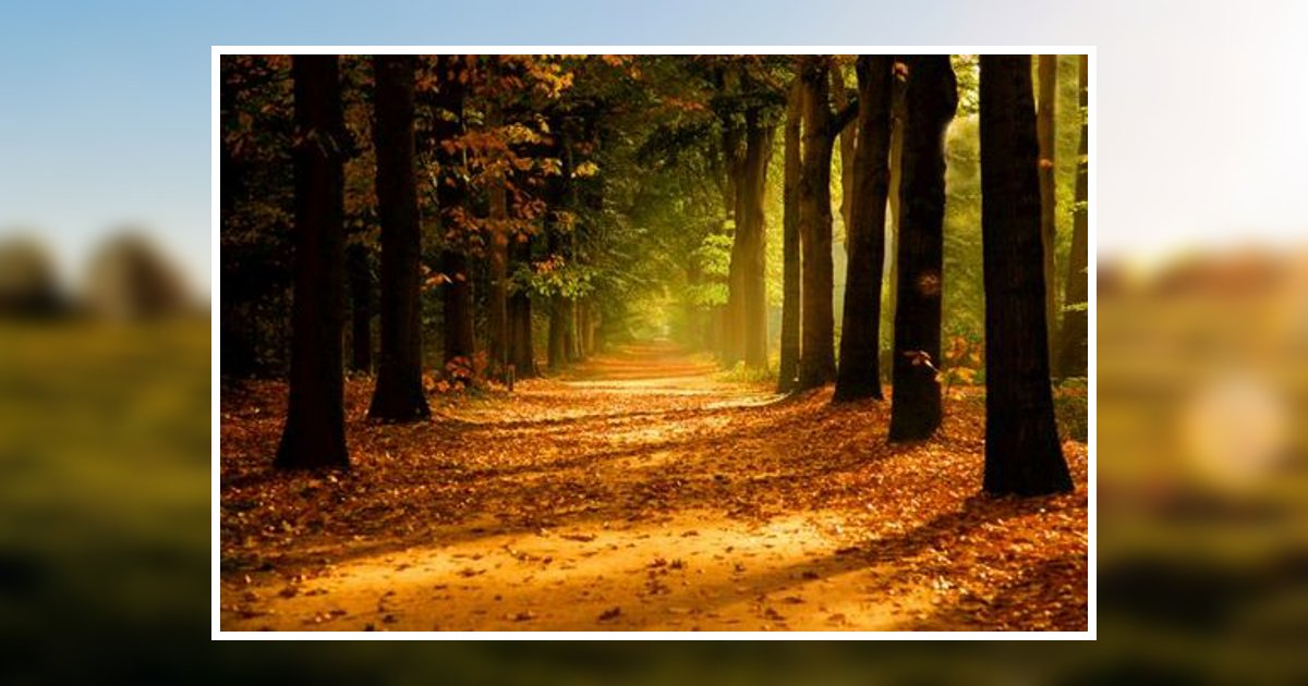 John Slane Obituary June 6, 2015 - Shaw-Davis Funeral Homes & Cremation ...