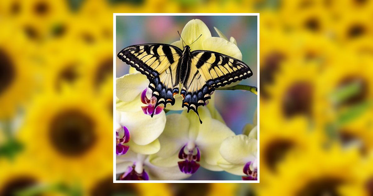 Marie Ann Geise Obituary March 24, 2023 - Farrow - Campbell Funeral ...