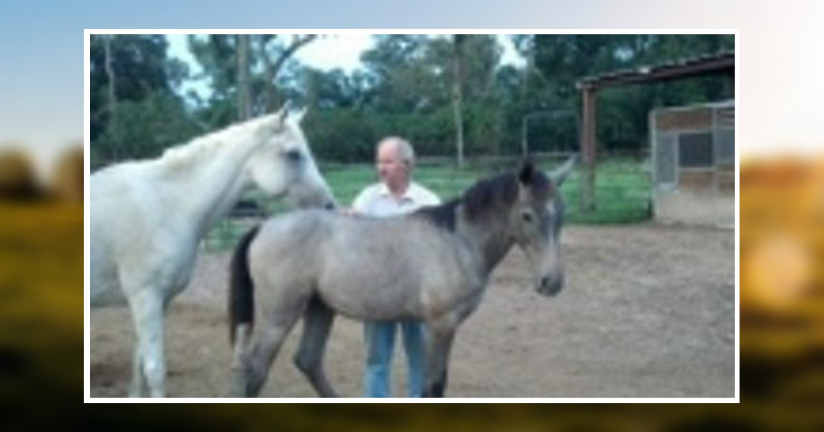 Bruce Stephen Schibik Obituary August 3, 2015 - Pace - Stancil Funeral ...