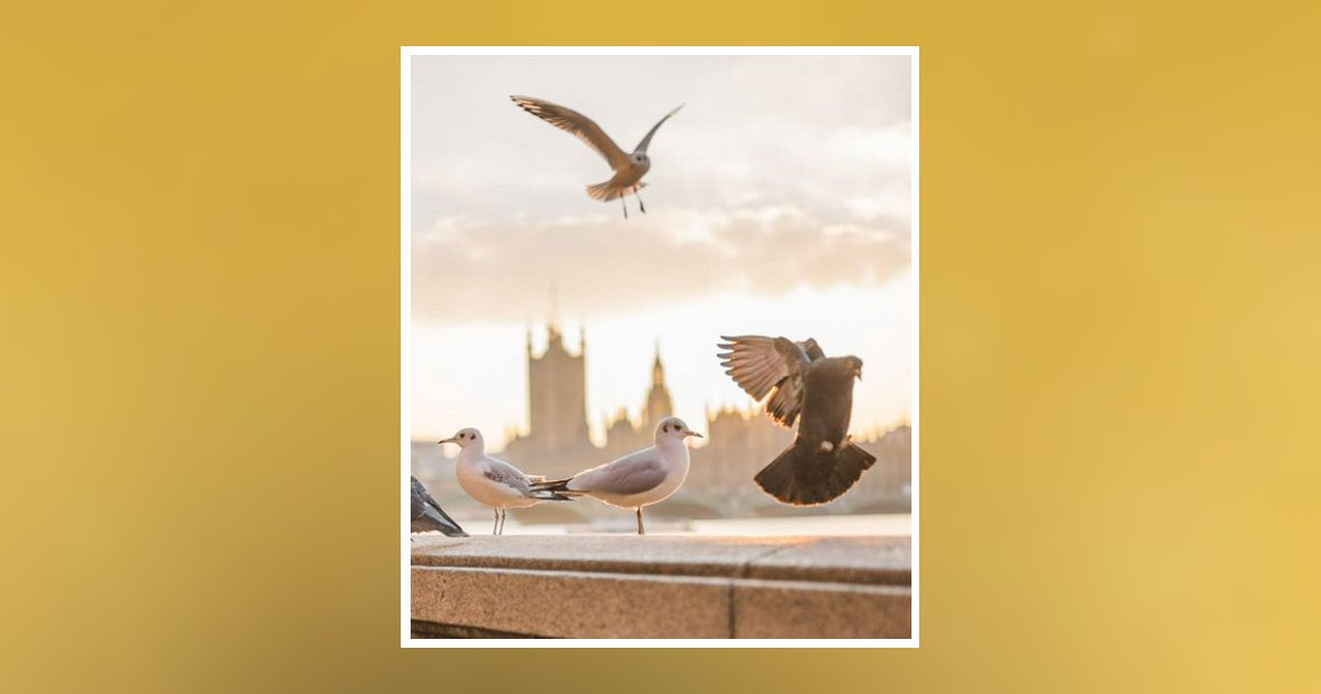 Gary Layne Zeigler Obituary March 7, 2023 - Arkansas Cremation