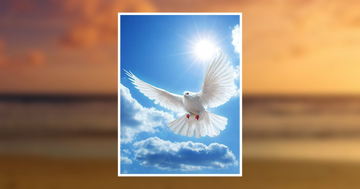 John E Conrad Obituary June 8, 2015 - The Stuart Funeral Homes