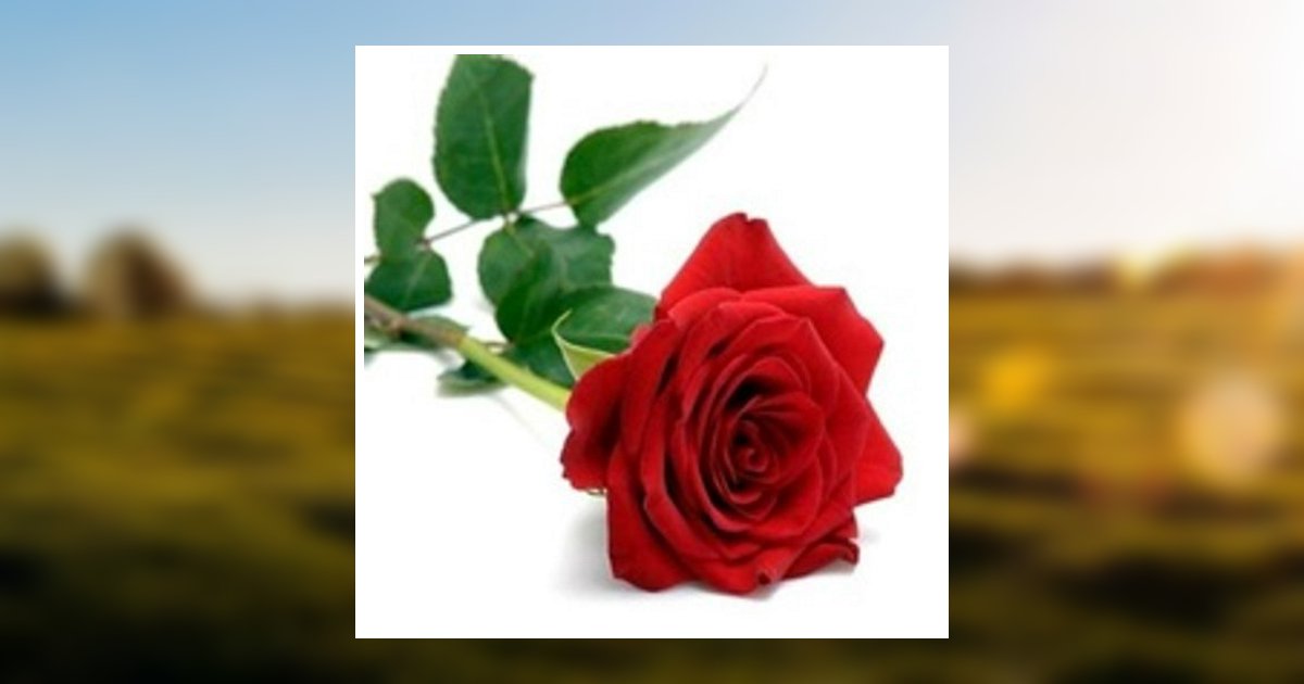 Penny Haight Obituary November 7, 2018 - Davis Mortuary