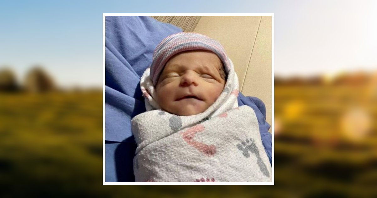 Brooks Christopher Luft Obituary November 22, 2020 - Huebner Funeral Homes