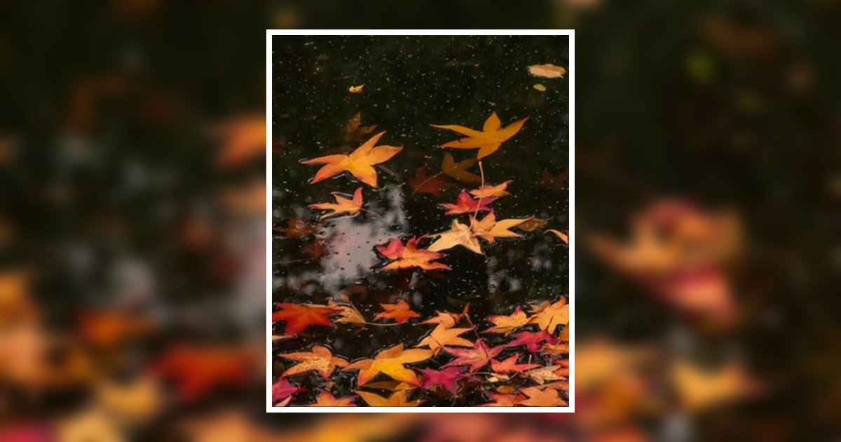 Jon Max Shepard Obituary October 31, 2024 - Thibadeau Mortuary Service ...