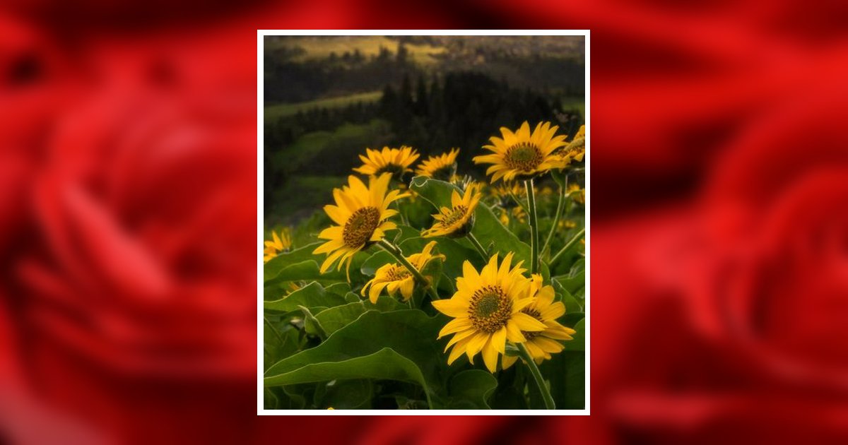 Eleanor E. Fogle Obituary January 29, 2023 - Louisville Memorial ... Eleanor E. Fogle Obituary January 29, 2023 - Louisville Memorial ...