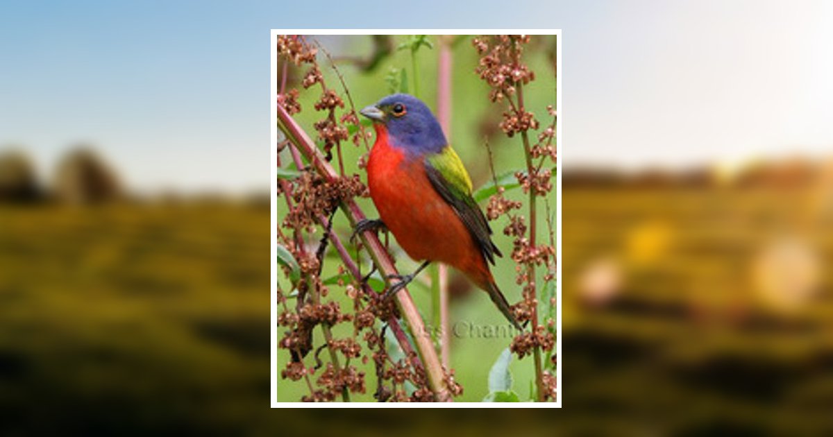 Margaret Streeter Obituary September 6, 2011 - Reynolds Funeral Home ...