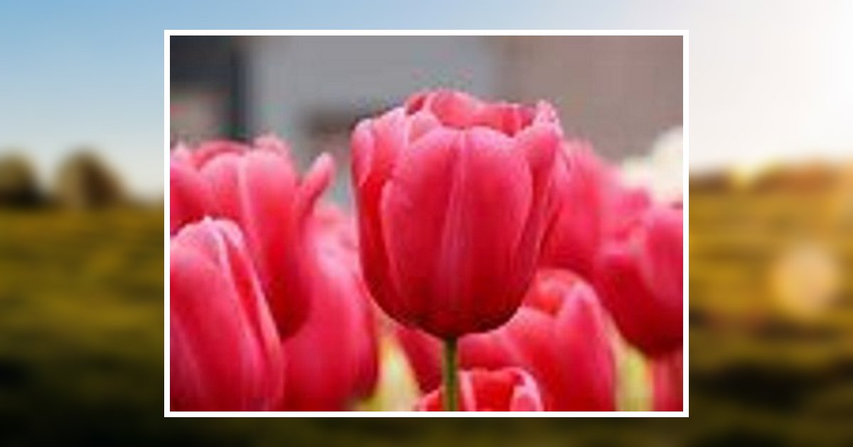 Margaret Neal Ellis Obituary June 11, 2016 - Pugh Funeral Home