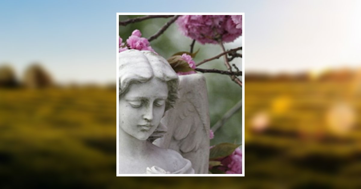 Julie L. Novack Obituary January 30, 2020 - Irvin-Parkview Funeral Home