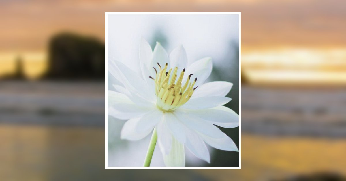 Patricia Dawson Obituary October 29, 2022 - Penttila's Chapel by the ...