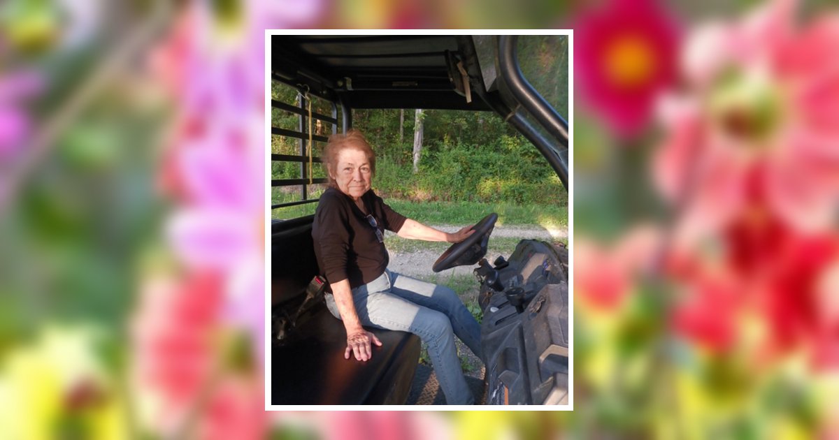 Linda Lou Goins Obituary September 8 2023 Lea And Simmons Funeral Home