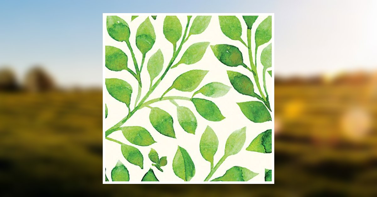 Renaee Berry Diffee Obituary May 3, 2023 - Smith Family Funeral Home