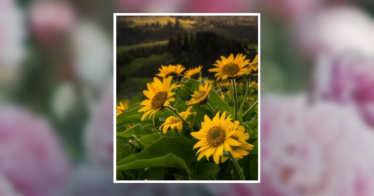 Linda Gail Torbett Obituary February 23, 2025 - Laycock-Hobbs Funeral Home