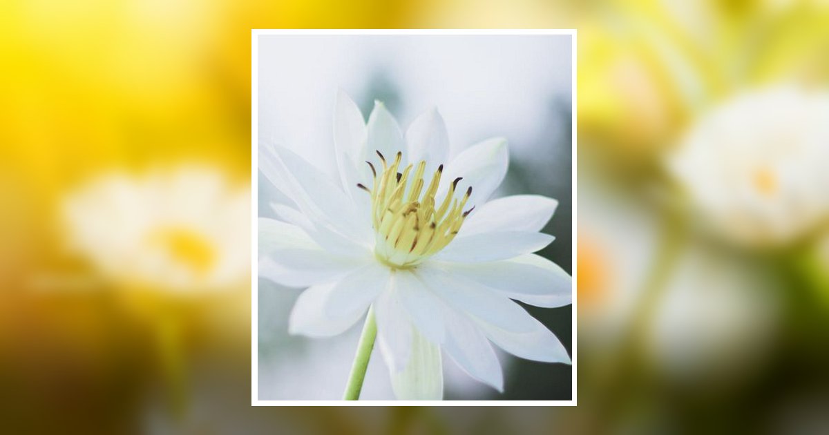 Rita Ruth Richwine Obituary February 23, 2025 - Speer Funeral Home