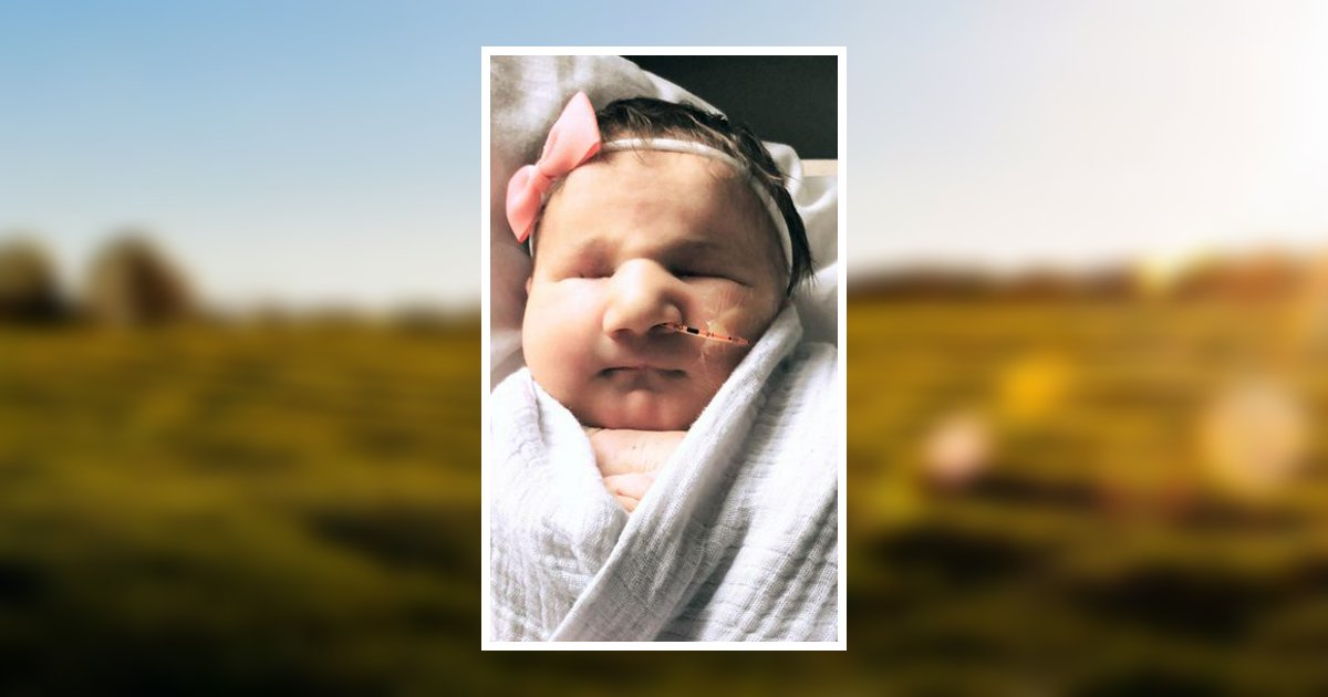 Hazel Michelle Mulder Obituary November 16, 2018 - Werner Harmsen ...