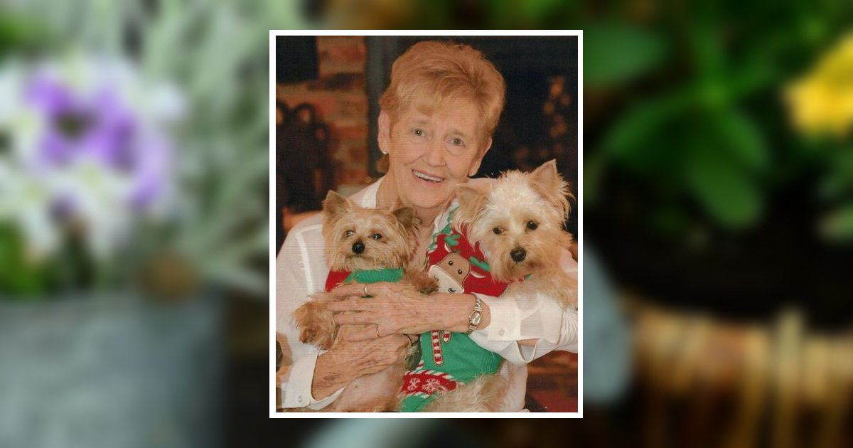 Susan Jo Simon Obituary October 14, 2023 - Weigel Funeral Home