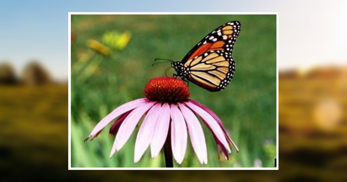 Beverly Alcock Obituary August 23, 2012 - Mattson Funeral Home ...