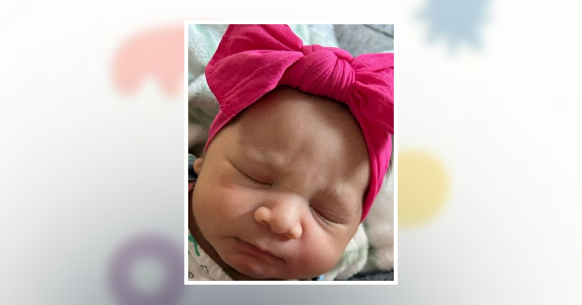 Alana L. Cook Obituary March 5, 2024 - Titus Funeral Home and Cremation ...