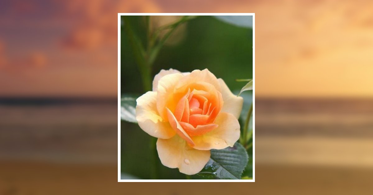 Esther V Reeves Obituary December 9, 2020 - Everhart-Bove Funeral Homes