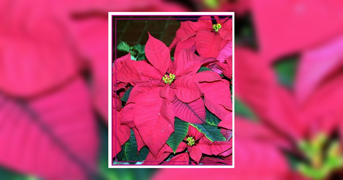 Nancy Lee Tennyson Andrews Obituary December 24, 2024 - Beltway ...