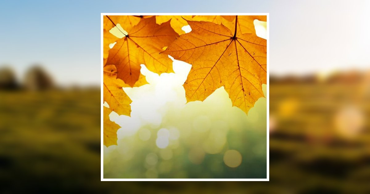 Freddy Corbin Reeves Obituary February 21, 2020 - Warren-McElwain ...