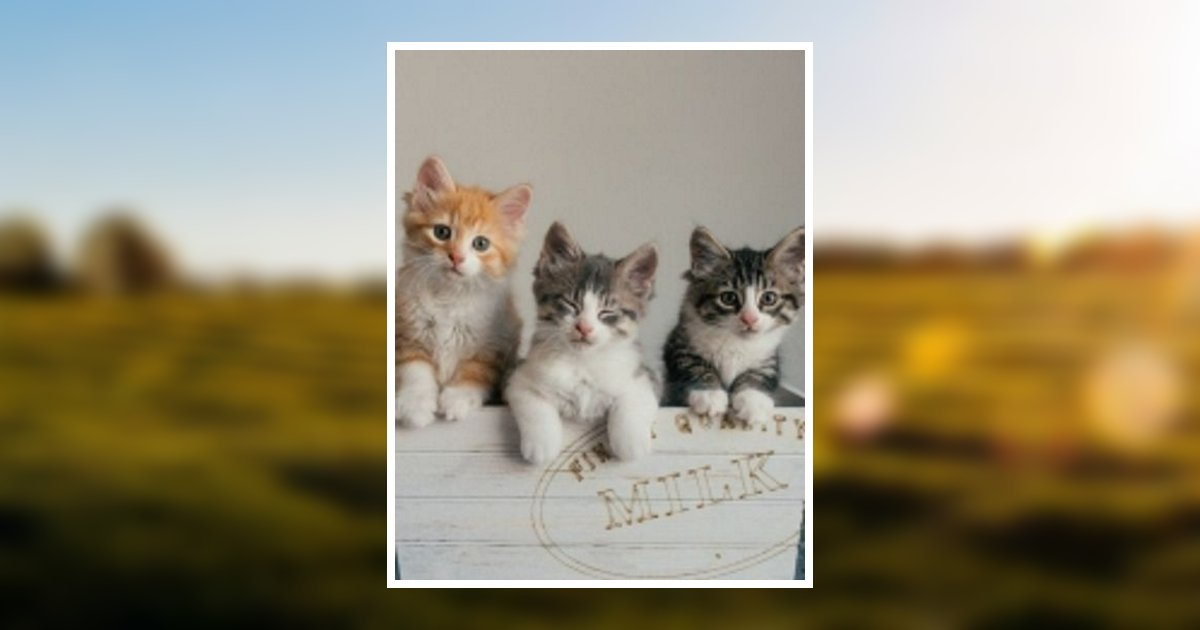 George Spencer Haynie, Jr. Obituary October 28, 2020 - Berry Funeral ...