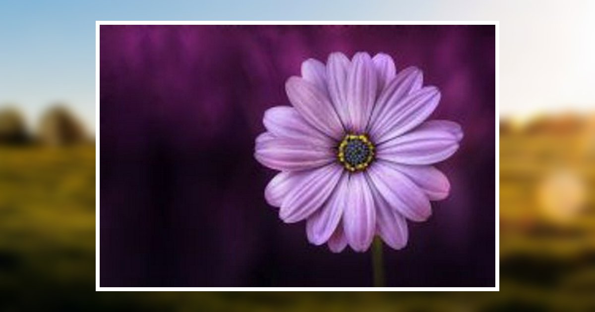 Jennifer Marie Givens Lofton Obituary January 28, 2023 - Freeman ...