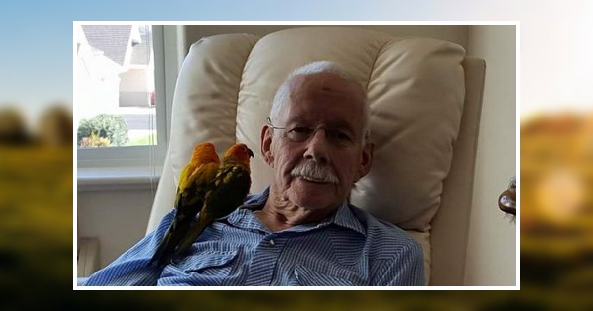 Stan Botting Obituary February 25, 2016 - Brown's Cremation & Funeral ...