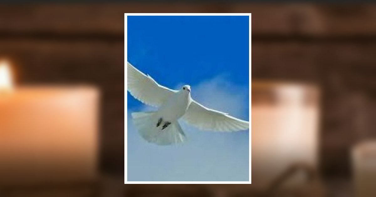 Kori Daniel Burgin Obituary 2023 - Tharp Funeral Home & Crematory