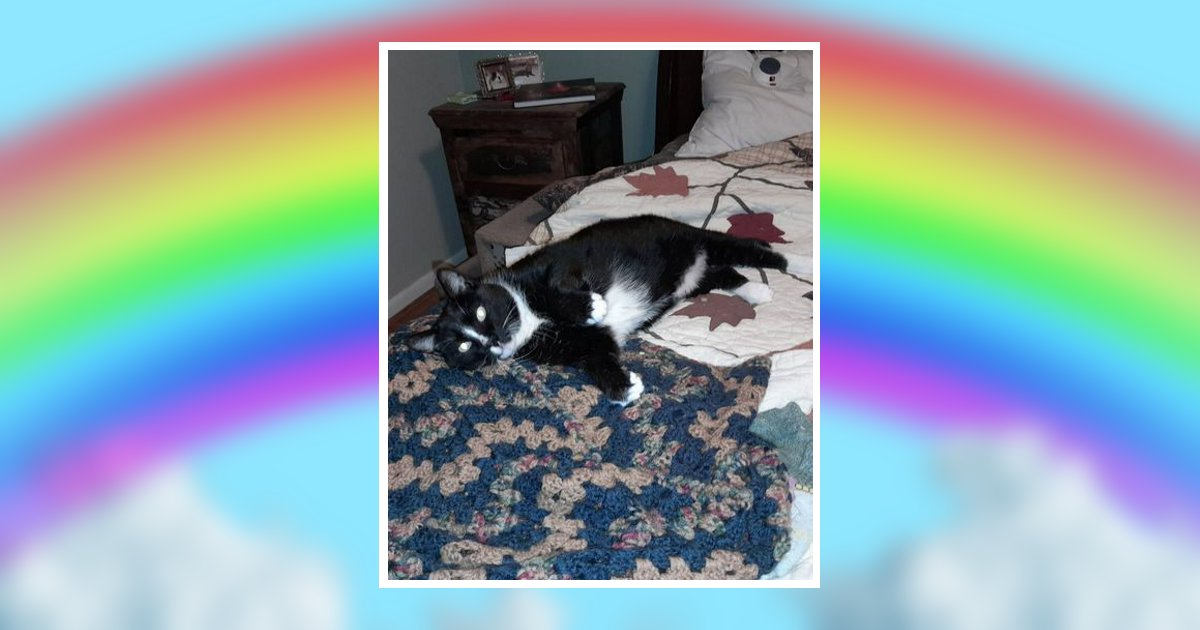 Charlie Baker Obituary November 14, 2025 - Faithful Friends Pet Memory Center