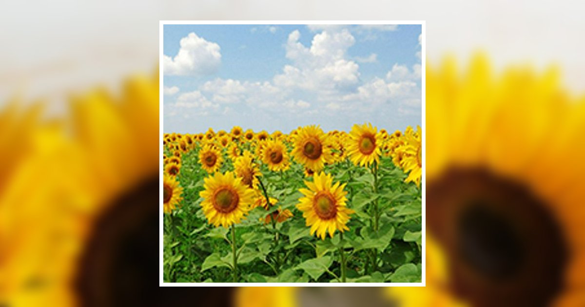 Nefer Carl Walmsley Obituary July 25, 2012 - New Comer Albany