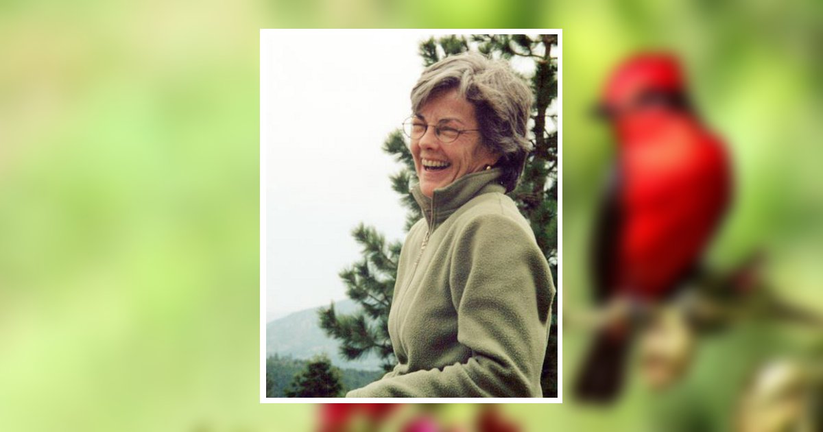 Susan D. Foley Obituary June 30, 2024 - Joyce Funeral Home