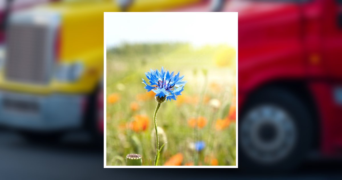 Gordon McNab Obituary June 8, 2025 - Thorsby Funeral Services