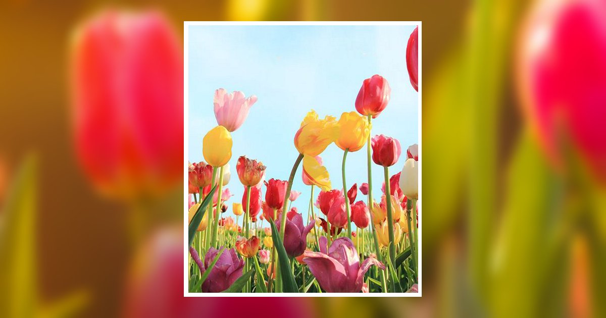 Gail Stoll Obituary August 14, 2025 - Low Country Cremation & Burial ...