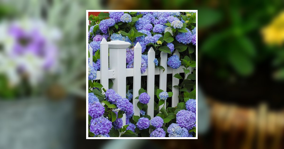 Annette Thomas Pinkard Obituary June 9, 2025 - Jordan Funeral Home