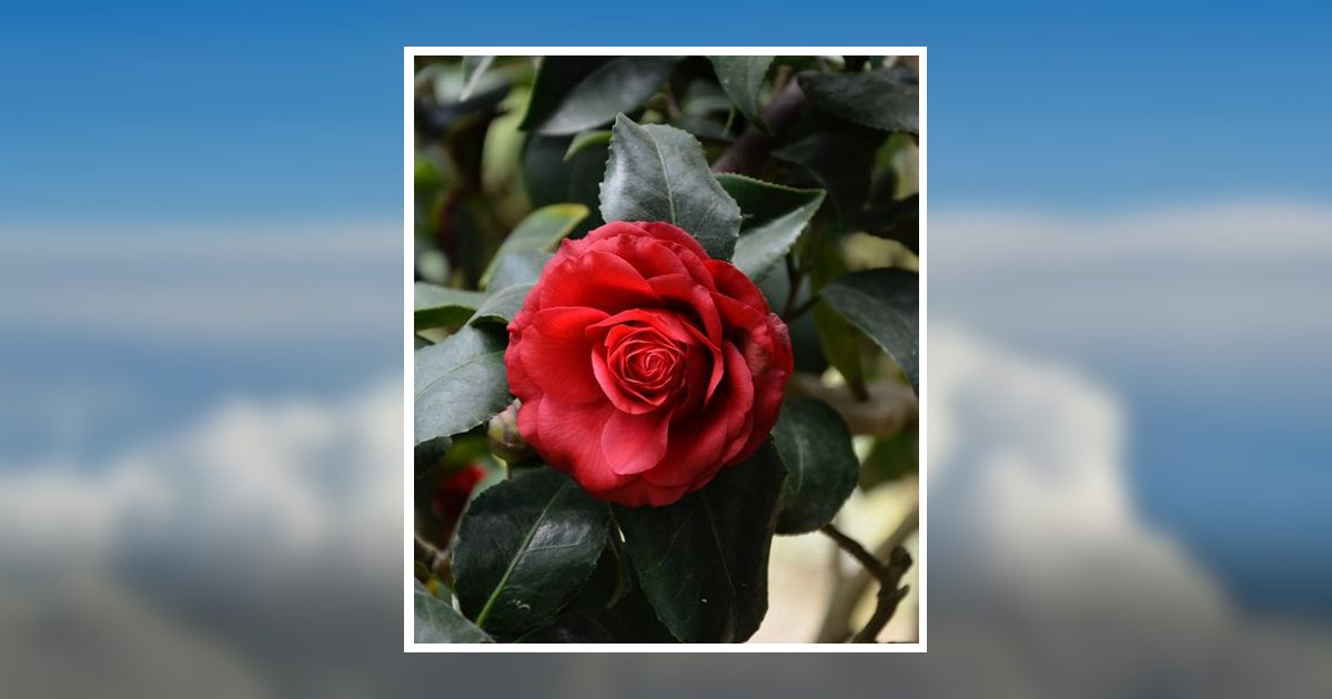 Brigitte Rudolph Widdess Obituary October 1, 2024 - Martinez Funeral ... Brigitte Rudolph Widdess Obituary October 1, 2024 - Martinez Funeral ...