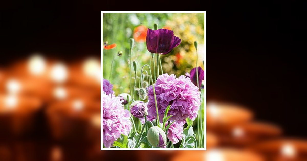 Janet L. Scaife Obituary December 1, 2020 - The Stuart Funeral Homes