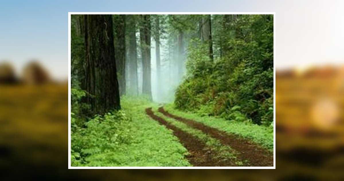 Michael Rollason Obituary March 8, 2019 - Graumlich Funeral Home