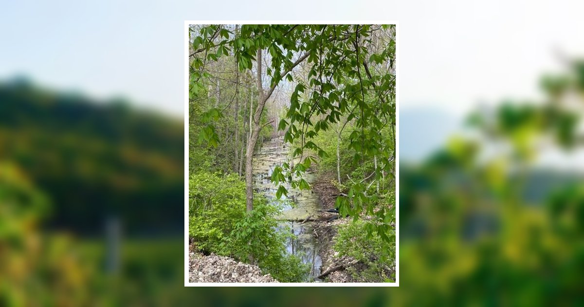 Fermon Ray Dorminey Obituary April 15, 2025 - Linville Memorial Funeral ...