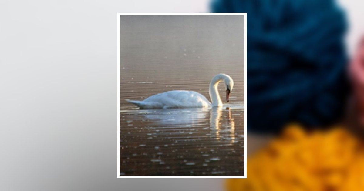 Nancy Jo Blumer Obituary December 29, 2021 - Henke-Clarson Funeral Home