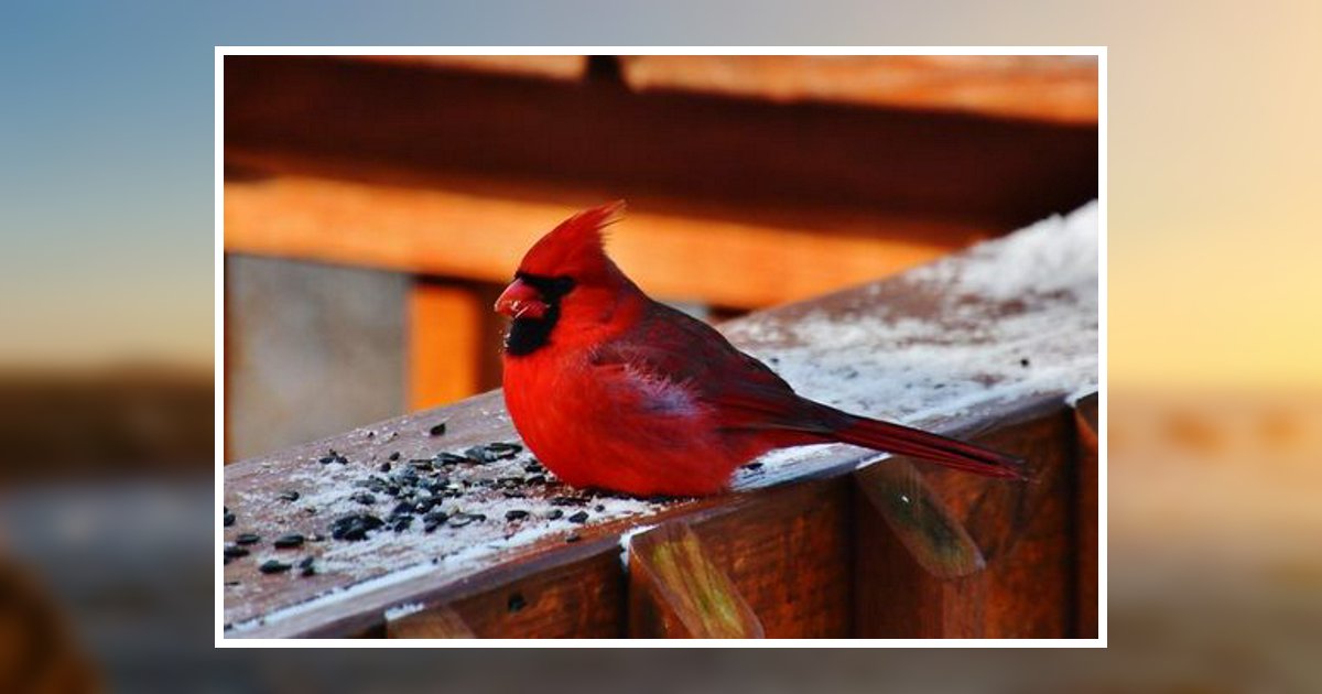 Robert (Dink) Riley, Jr. Obituary July 11, 2024 - Gasch's Funeral Home ...