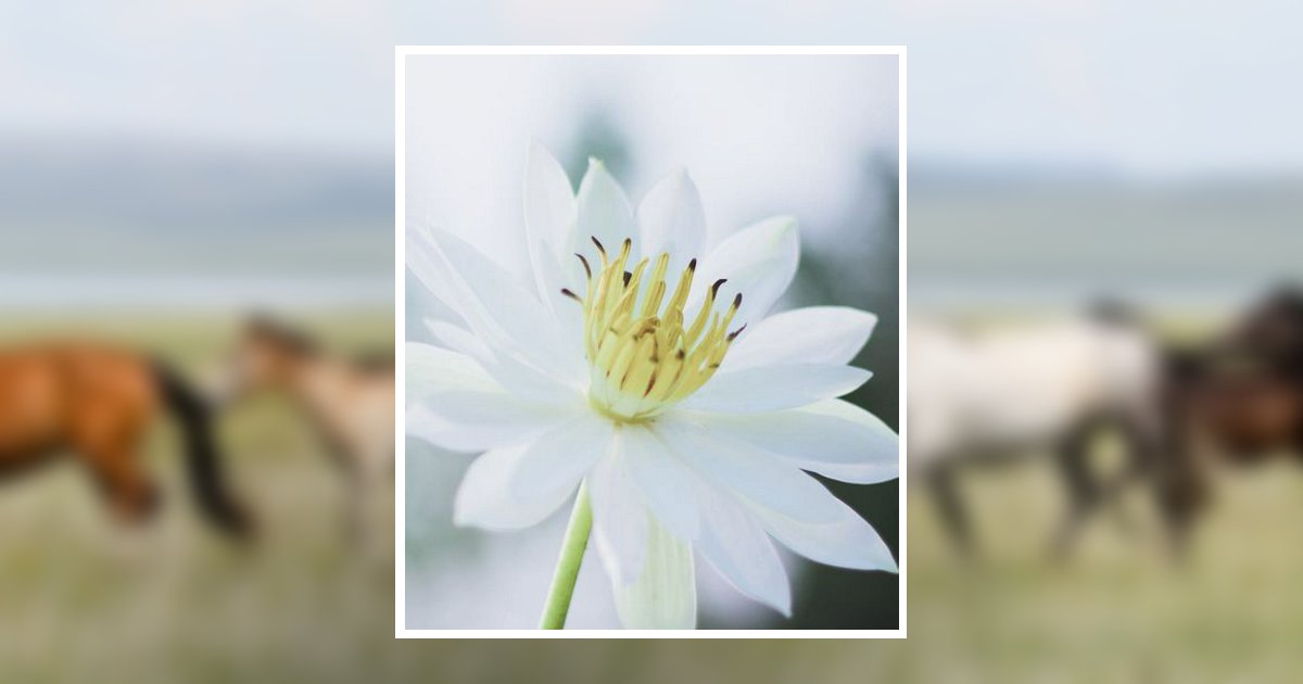 Sandra Lynne Tuttle Obituary June 16, 2023 - DeVargas Funeral Home of Taos