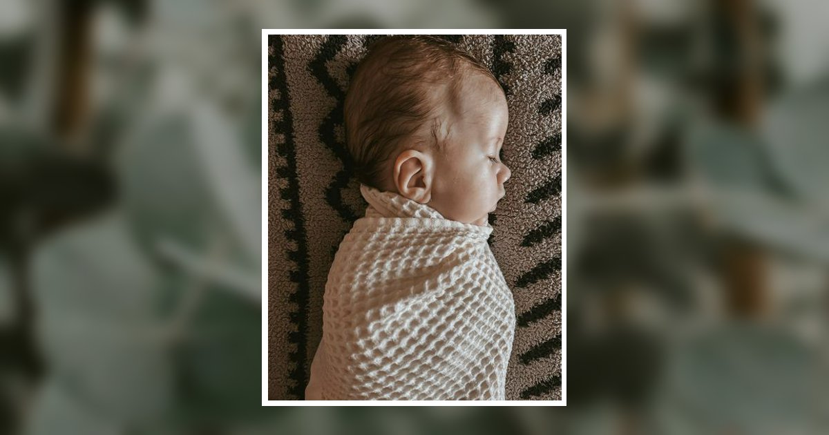 Rory Ty Adams Obituary July 22, 2024 - McReynolds-Nave & Larson