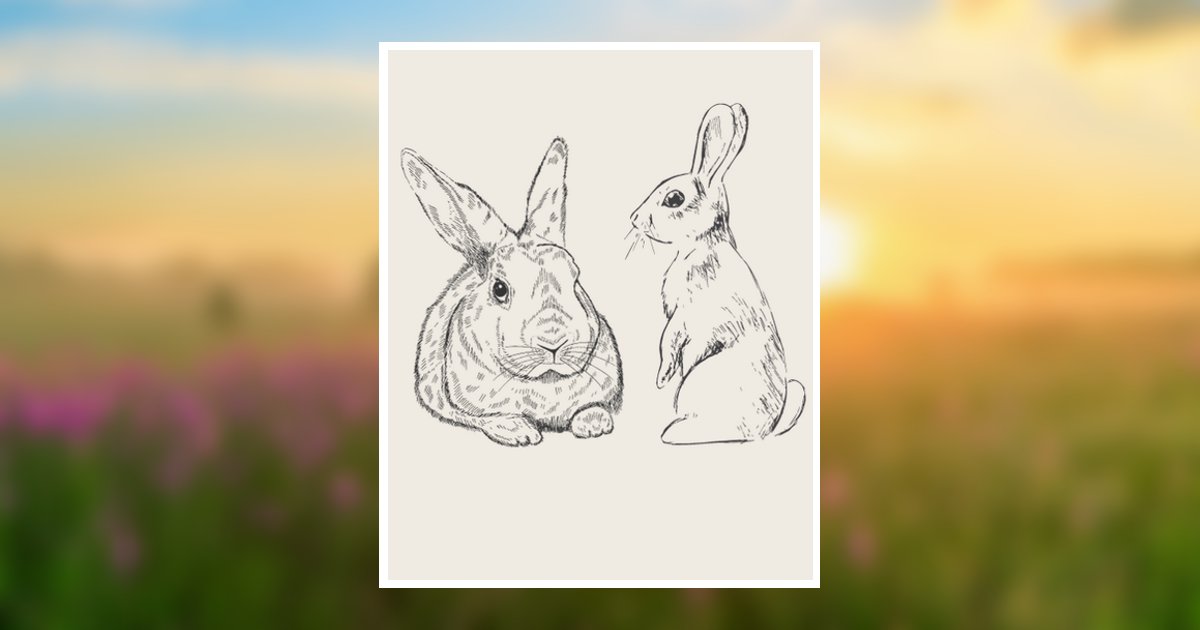 Gabby Helmer Obituary November 13, 2025 - Faithful Friends Pet Memory ...