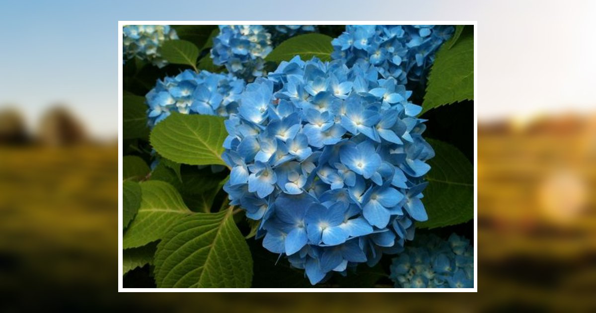 Deborah A. (Gouthro) Utley Obituary May 9, 2017 - Joyce Funeral Home