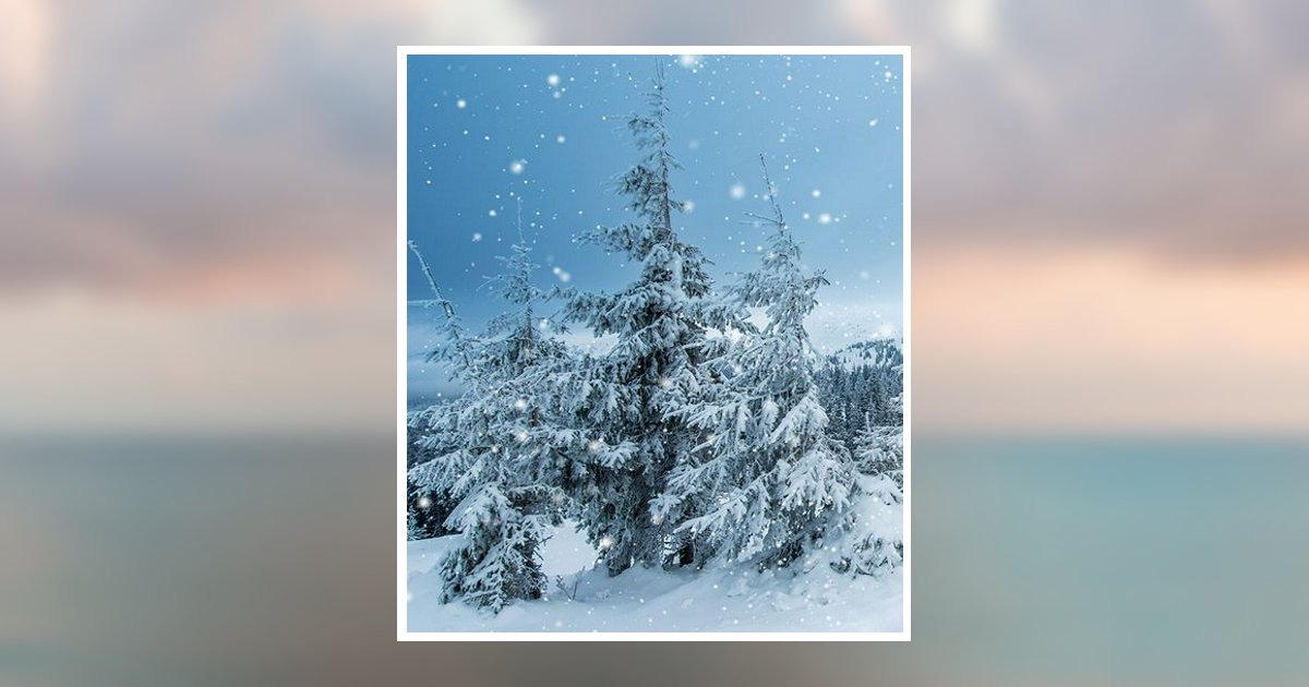 Saundra Renee Brown Obituary January 3, 2025 - Edgington Funeral Home