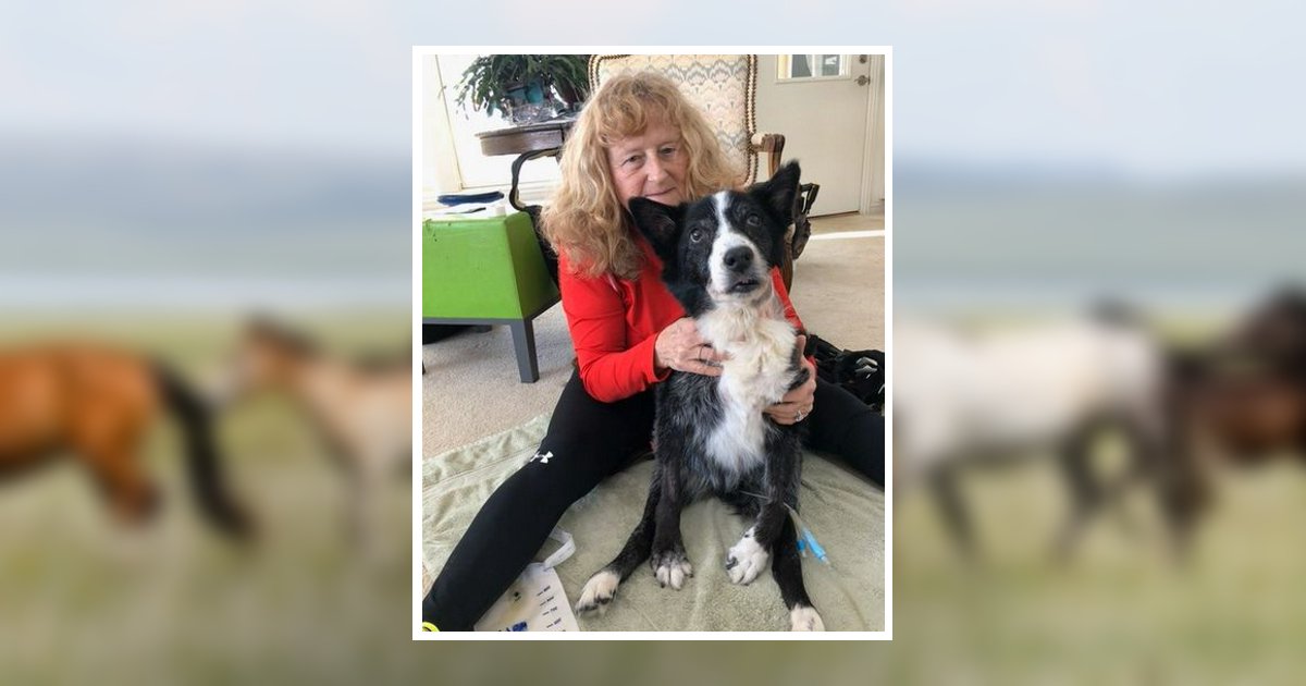 Martha "Marty" Ann Bloomquist Obituary - Brennan Mathena Funeral Home